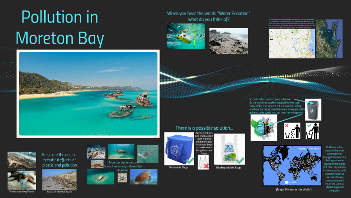 Pollution in Moreton Bay by Rebecca Mossop on Prezi