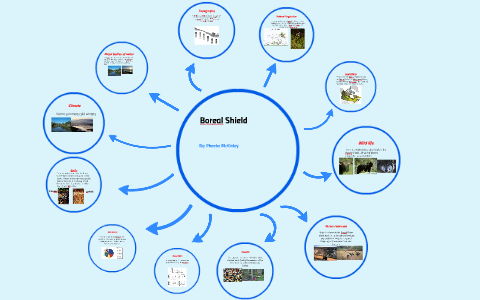 Boreal Shield by phoebe mckinley on Prezi
