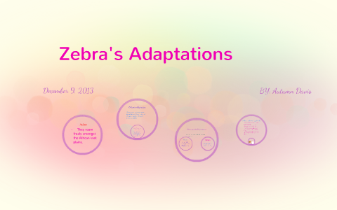 Zebra's Adaptations by on Prezi