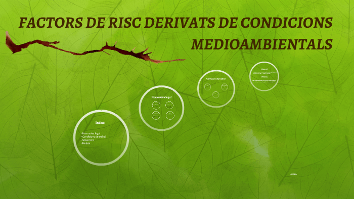 FACTORS DE RISC DERIVATS DE CONDICIONS MEDIOAMBIENTALS by Manel ...