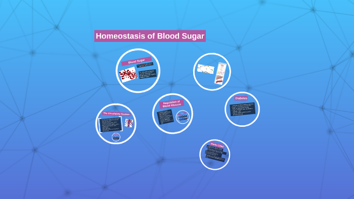 Blood Sugar by Julia Aidnik on Prezi