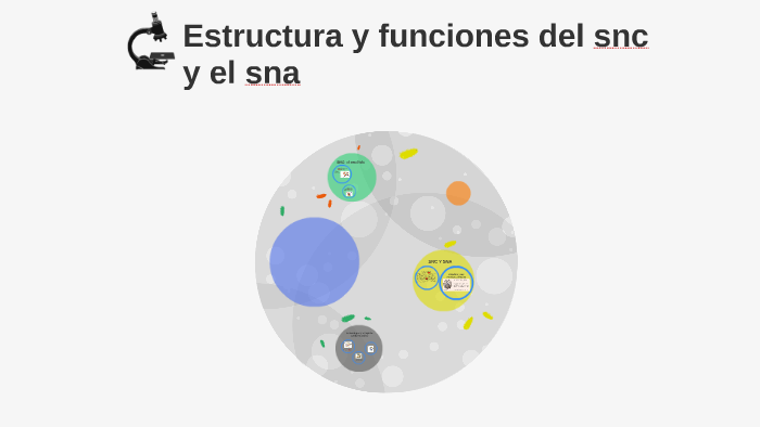 Estructura y funciones del snc y el sna by Mike Montero on Prezi
