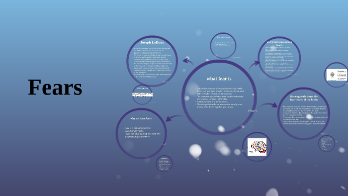 How Fear Affects the Brain by Mackenzie Herold on Prezi
