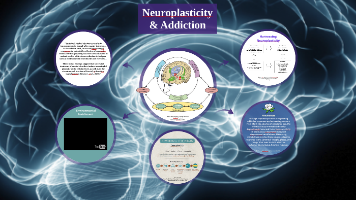 Neuroplasticity and Addiction by on Prezi