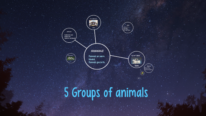 6 Groups of animals by alvira Hossain on Prezi