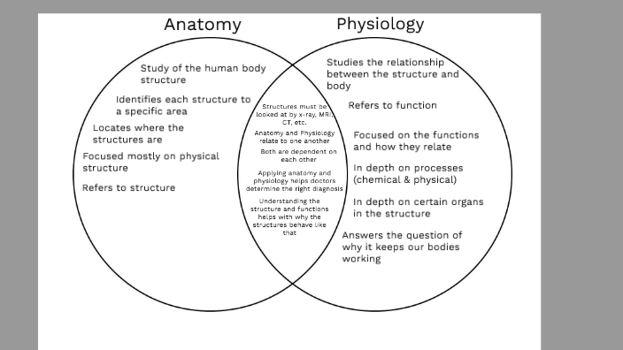 Venn Diagram Anatomy by Jo-Yee Chan on Prezi