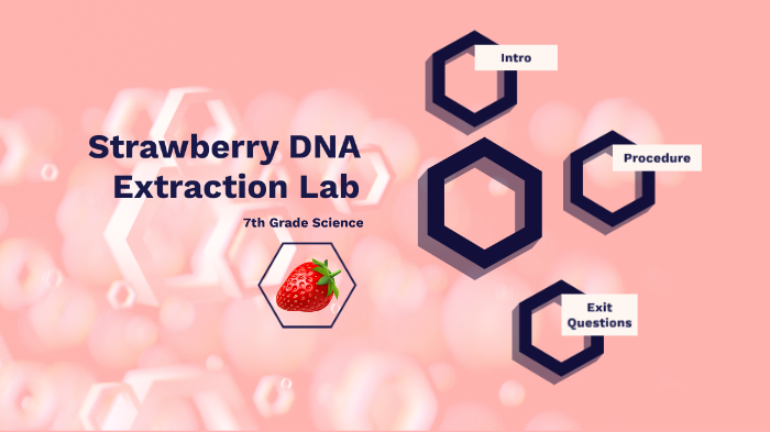 DNA Strawberry Extraction Lab by Syleen Blanco on Prezi