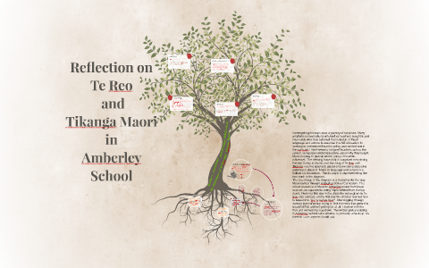 Reflection on Maori in the Amberley School Curriculum by IronR IronR on ...
