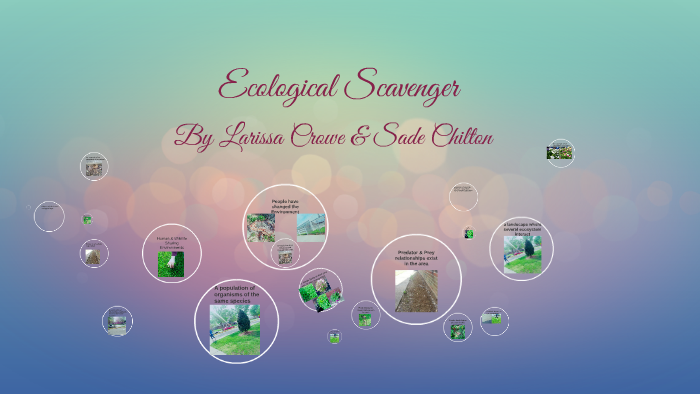 Ecological Scavenger Hunt by on Prezi