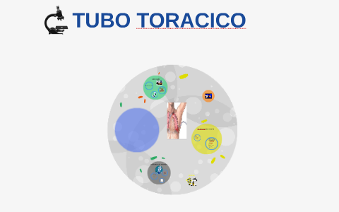tubo toracico by gisela chamorro on Prezi