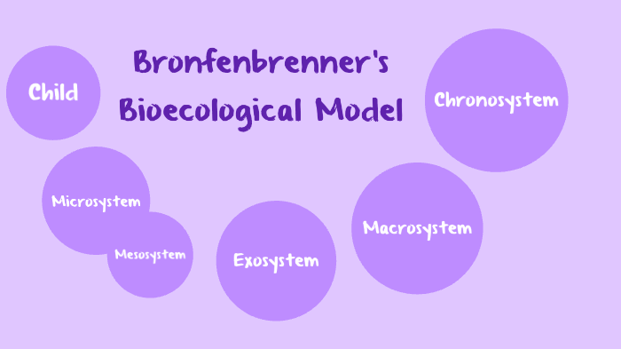 Bioecological model by Allison Davis on Prezi
