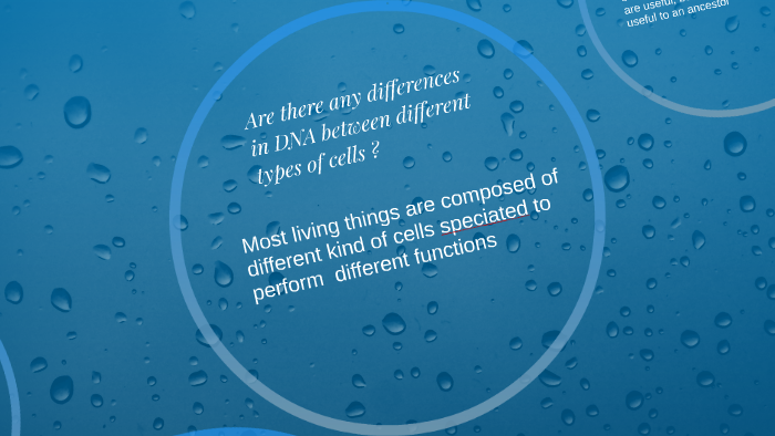 LS4.A Evidence of Common Ancestry & Diversity by Hailey Chacon on Prezi