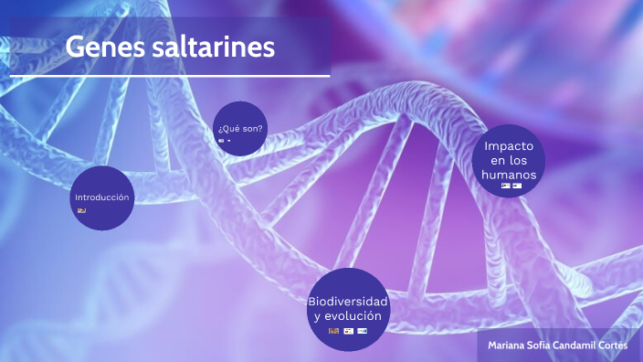 Genes saltarines by Mariana Sofía Candamil Cortés on Prezi