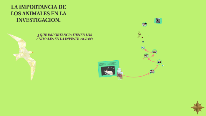 LA IMPORTANCIA DE LOS ANIMALES EN LA INVESTIGACION. by angeli suarez on ...