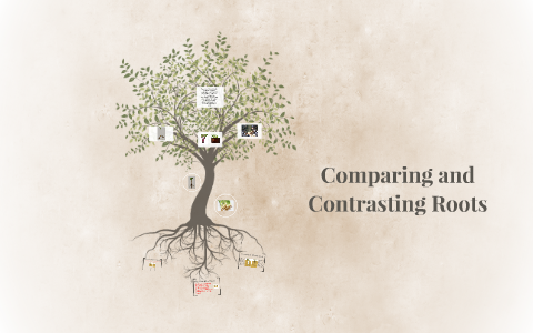 Comparing Roots by Julie Chabot on Prezi