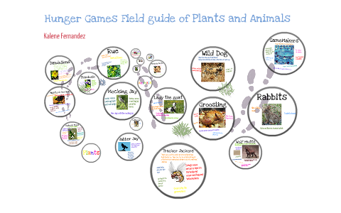 The Hunger Games Field Guide by Kalene Fernandez on Prezi
