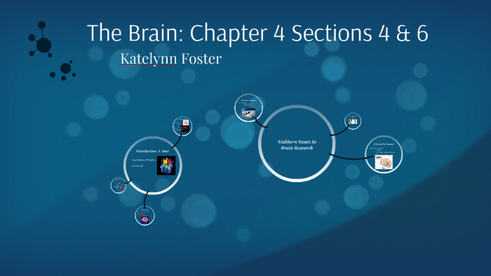 The Brain Section 4 & 6 by Katelynn Foster on Prezi