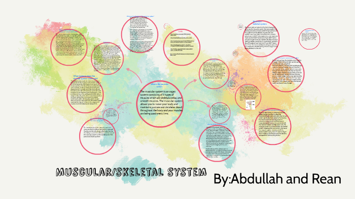 Muscular/skeletal system by Abdullah Virk on Prezi