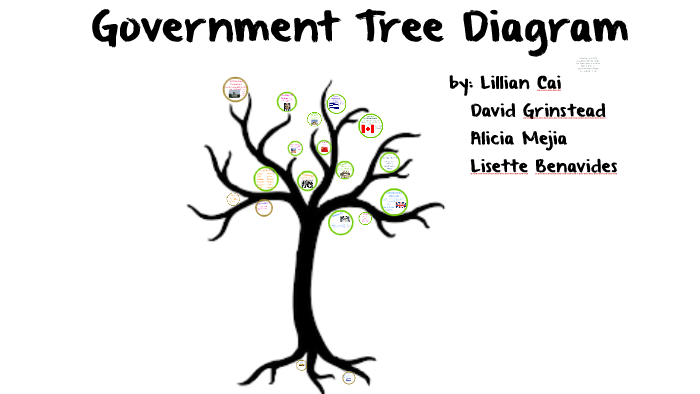 government tree diagram by Lisette Benavides on Prezi