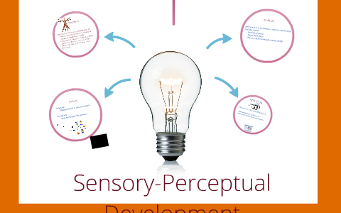 Sensory-Perceptual Development by shari hayes on Prezi