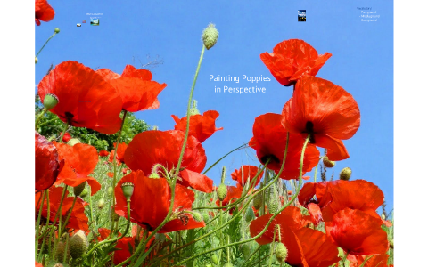 Poppies in Perspective- 2nd grade by Rose Marguerite on Prezi