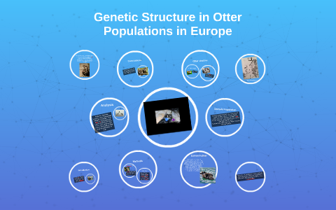 Genetic Structure in Otter Populations in Europe by Cassandra Long on Prezi