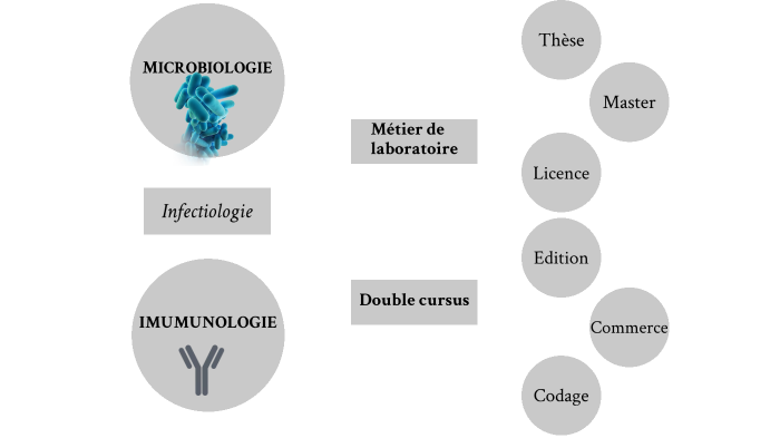 Carte des métiers by noa guzzi on Prezi