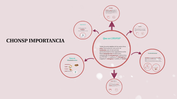 CHONSP IMPORTANCIA by America Juarez Vega on Prezi