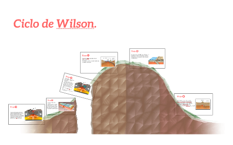 Ciclo de Wilson. by Marta Pérez Viñas on Prezi