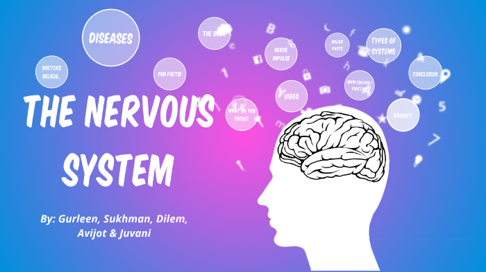Nervous System by Gurleen Gill - Cheyne MS (1494) on Prezi
