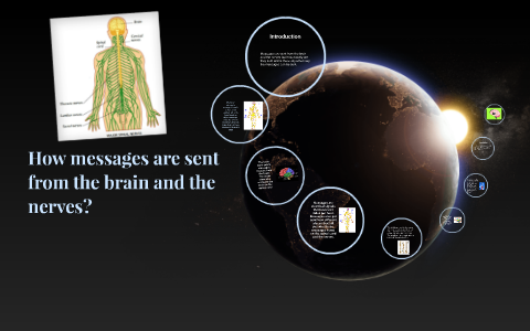 How are messages sent from the brain and the nerves? by Kanwar Pannu on ...