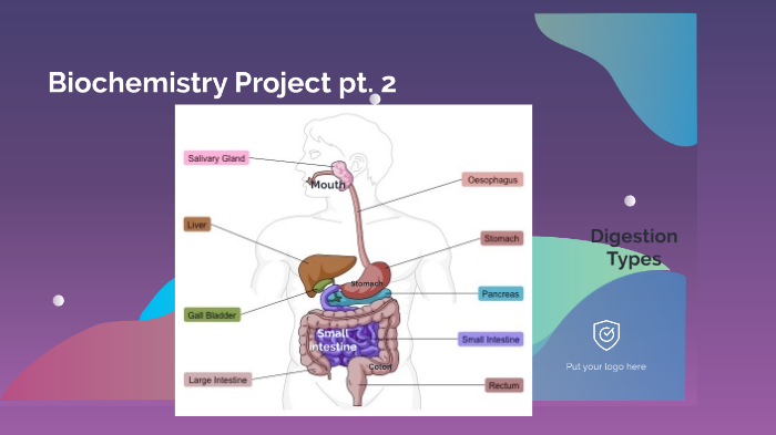 Biochem. Project pt2 by Donathan Linebrink on Prezi