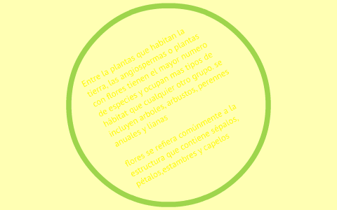 El origen y la calsificacion by Elmer villatoro