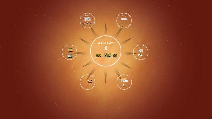 AUGALO DALYS by Sigita Bajerčiūtė on Prezi