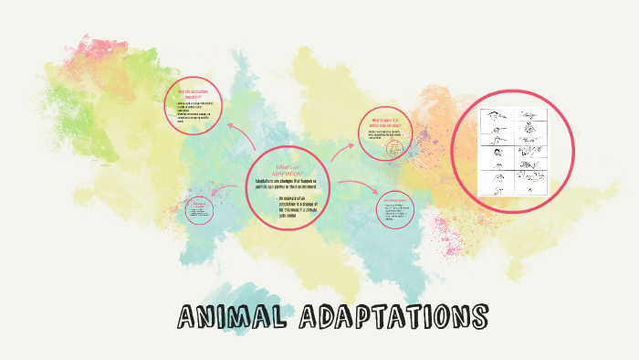 Animal Adaptations by Alanna Powers on Prezi