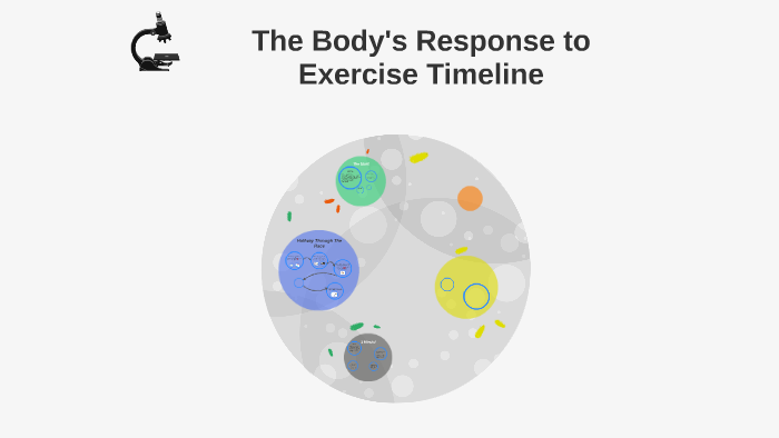 The Body's Response to Exercise Timeline by Thomas Prieto on Prezi