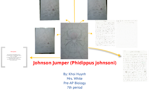 Ecology PBL Unit Project by Khoi H. on Prezi