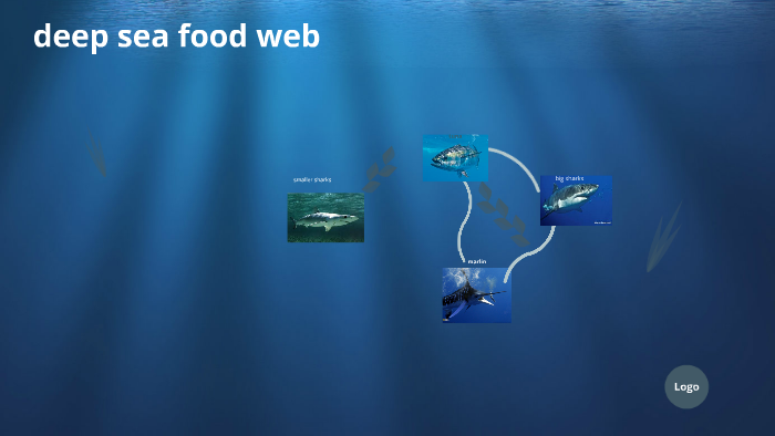 deep sea food web by kahoot kahoot on Prezi