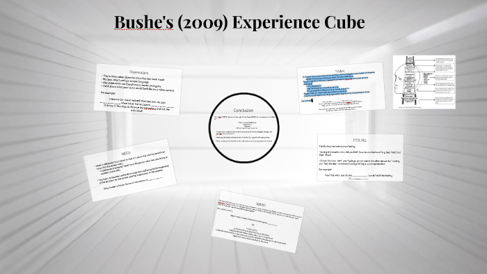 Bushe's (2009) Experience Cube - Clear Leadership by Stace Kent on Prezi