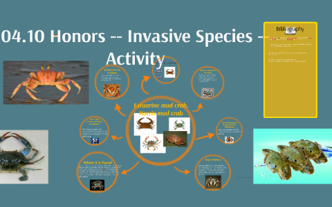 Marine Science Honors 04.10 by Gabriel Costa on Prezi