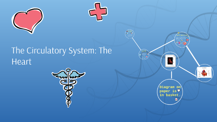 The Right Atrium by Isabel M