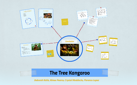 The Tree Kangaroo by Di Ka on Prezi