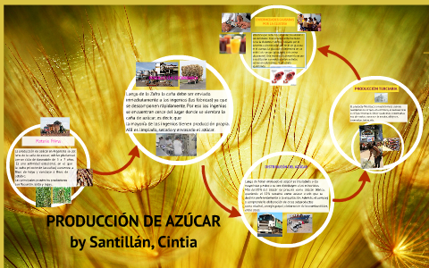 PRODUCCIÓN DE AZÚCAR by Cintia Santillan on Prezi