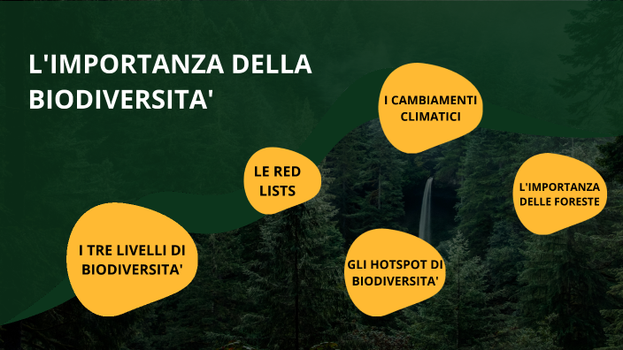 cittadinanza scieze by Michele Gaggiano on Prezi