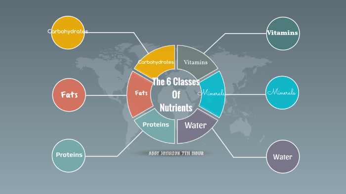 6 Classes of Nutrients by Abby Johnson on Prezi
