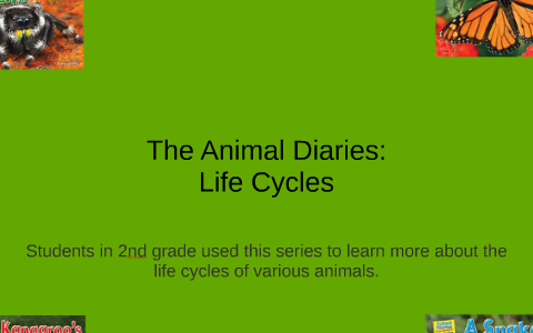 Animal Diaries: Life Cycles by Freda Orosz on Prezi