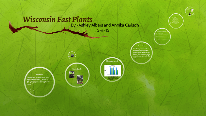 Wisconsin Fast Plants by Ashley Albers on Prezi