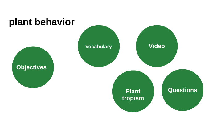 plant behavior by Lubaba Abdulrahim on Prezi