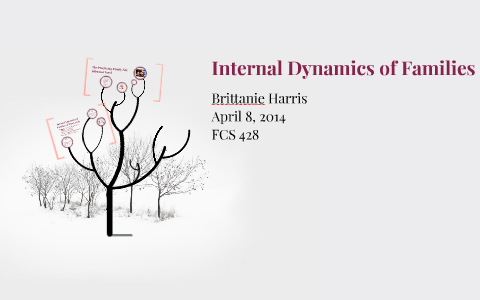 Internal Dynamics of Families by Brittanie Harris on Prezi