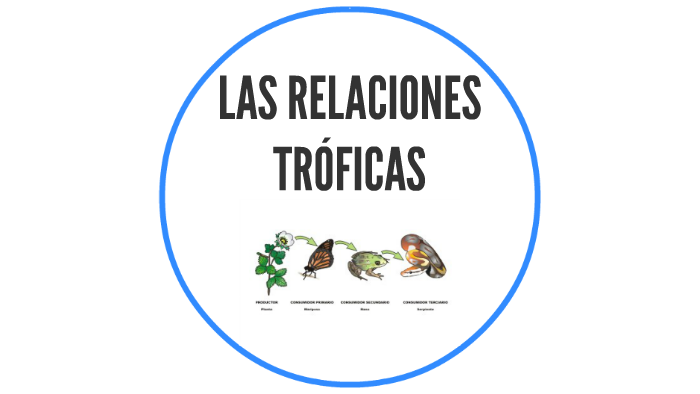 Relaciones tróficas by paula goñi on Prezi